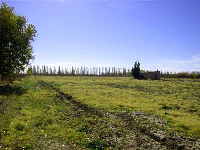 Fallow Land & Other Views: