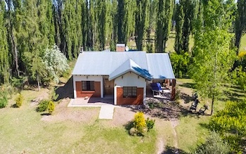 Argentina Vineyard, Farms, Land & Real Estate for Sale in Mendoza